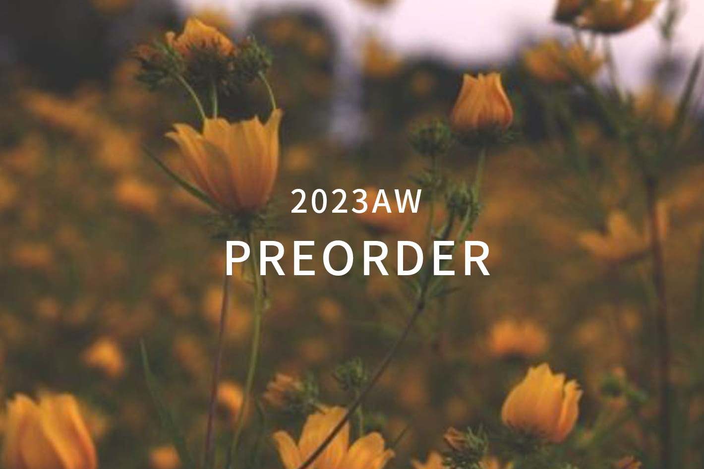 《2023AW》PRE OREDER | Pal collection(パルコレクション)のニュース | PAL CLOSET(パルクローゼット) - パルグループ公式ファッション通販サイト