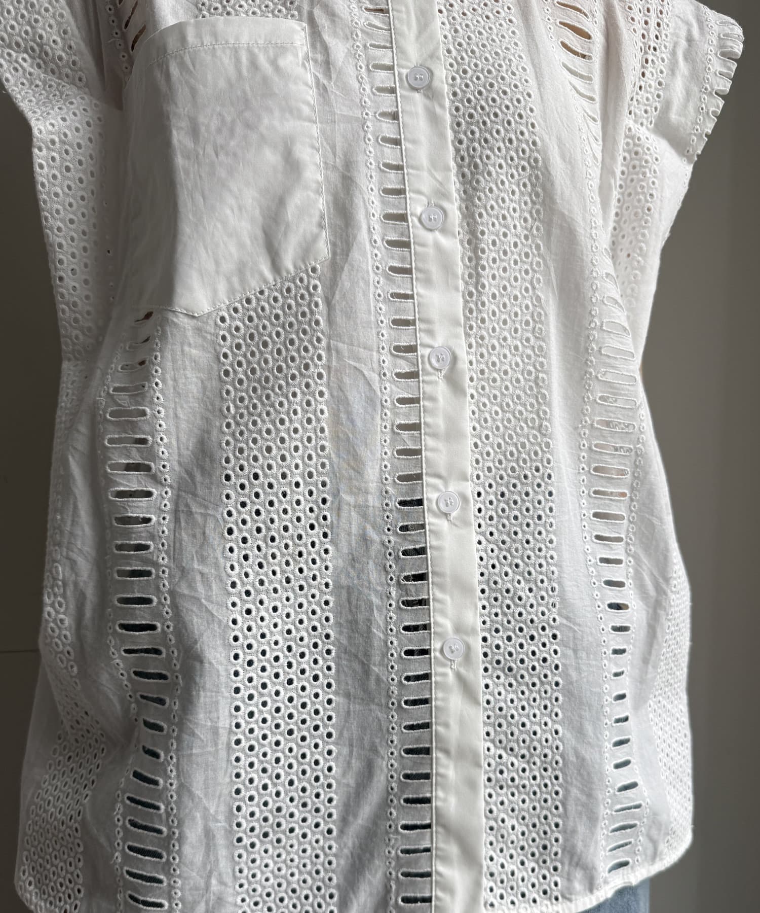 【WEB限定】ハシゴレースシャツ | DOUDOU(ドゥドゥ)レディース | PAL CLOSET(パルクローゼット) - パルグループ公式 ...