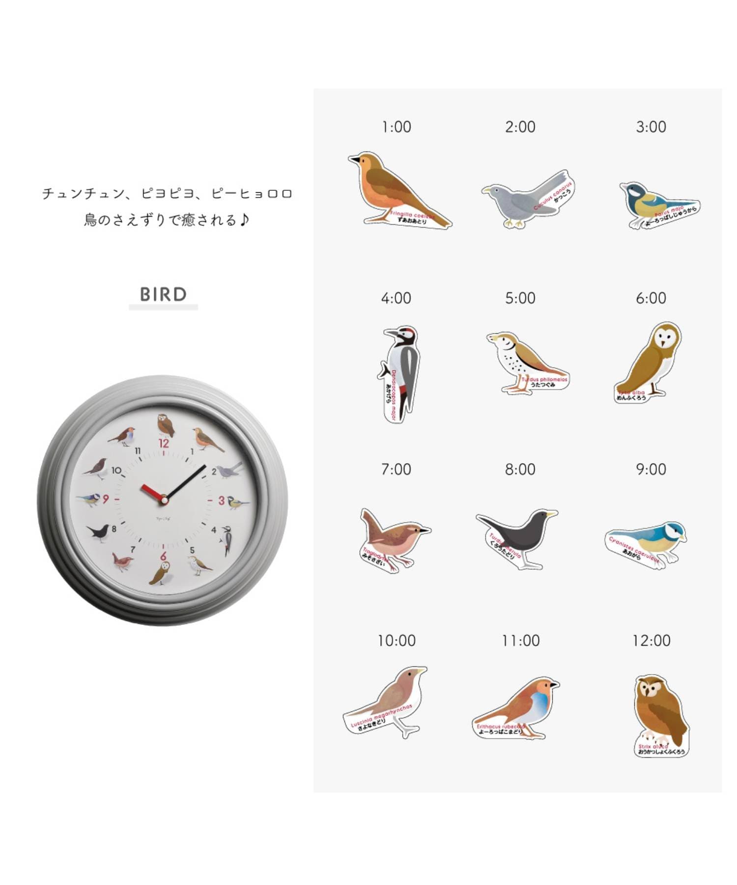 Ticky Tacky clock 掛け時計 | BIRTHDAY BAR(バースデイバー)ライフスタイル | PAL CLOSET(パル ...